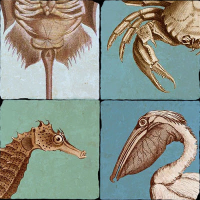 Sea Creatures IV Coaster Set – Everything Turquoise
